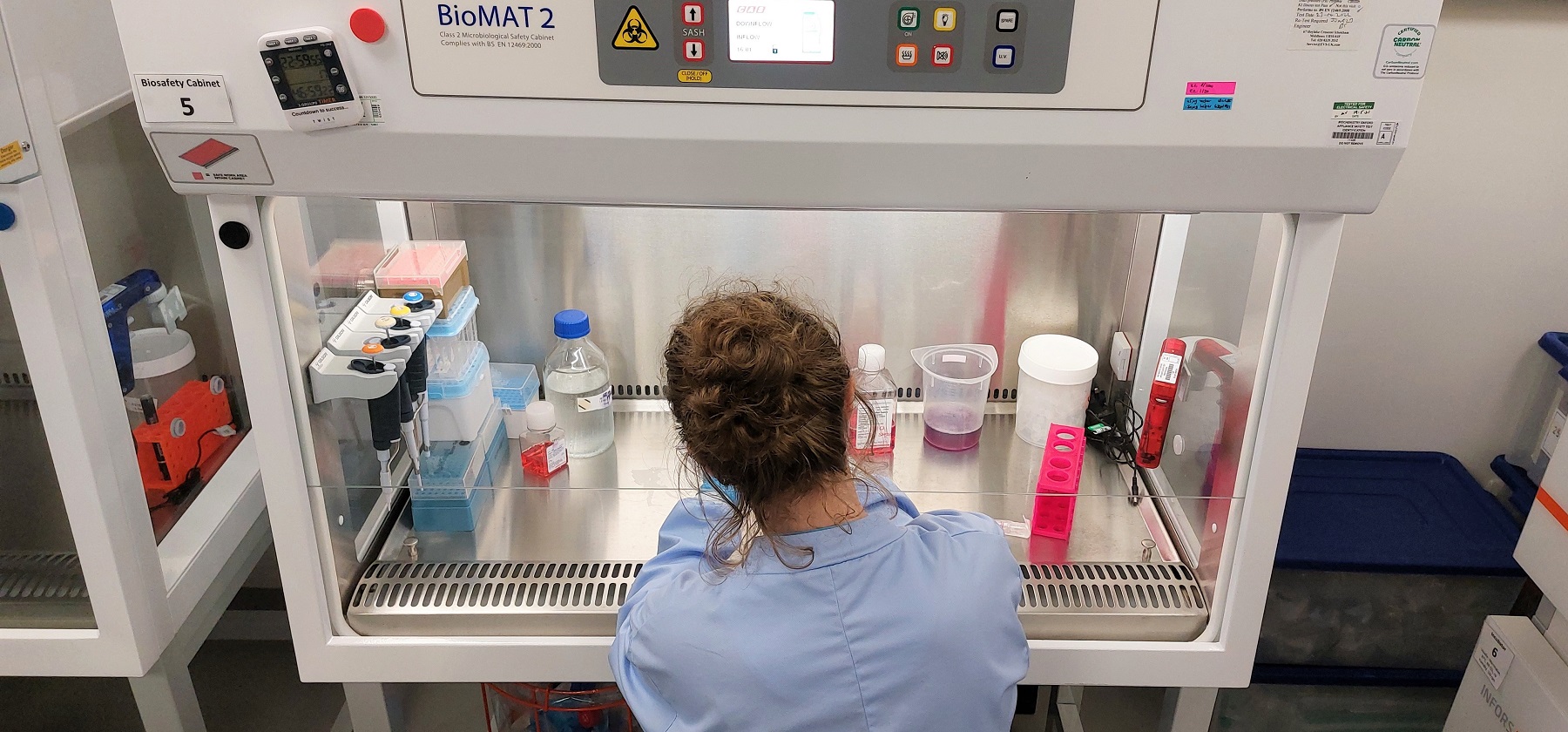 Latest RH5 clinical trial shows promise | Draper Lab