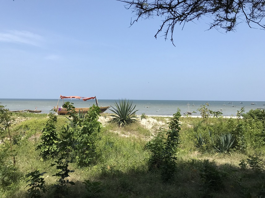 New study supports RH5 vaccine trials in malaria-endemic regions ...