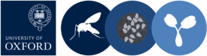 Volunteer | Draper Lab